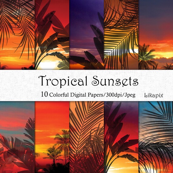Tropical Sunsets Digital Papers Summer Evening Sky View Palm - Etsy