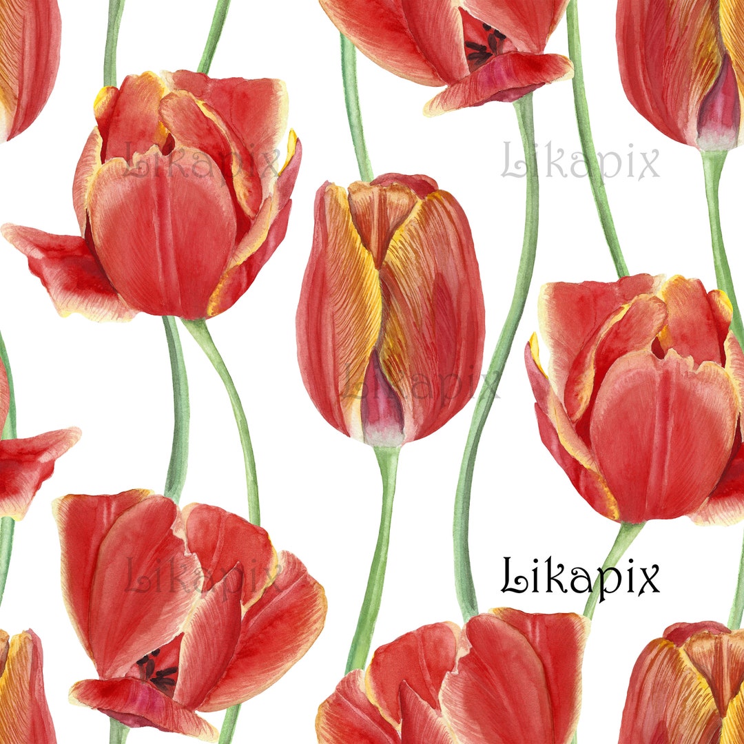 Red Tulips Seamless Pattern Png-instant Download. Watercolor Spring ...