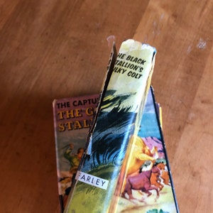 The Black Stallion's Sulky Colt Vintage Hardback Book by Walter Farley ...