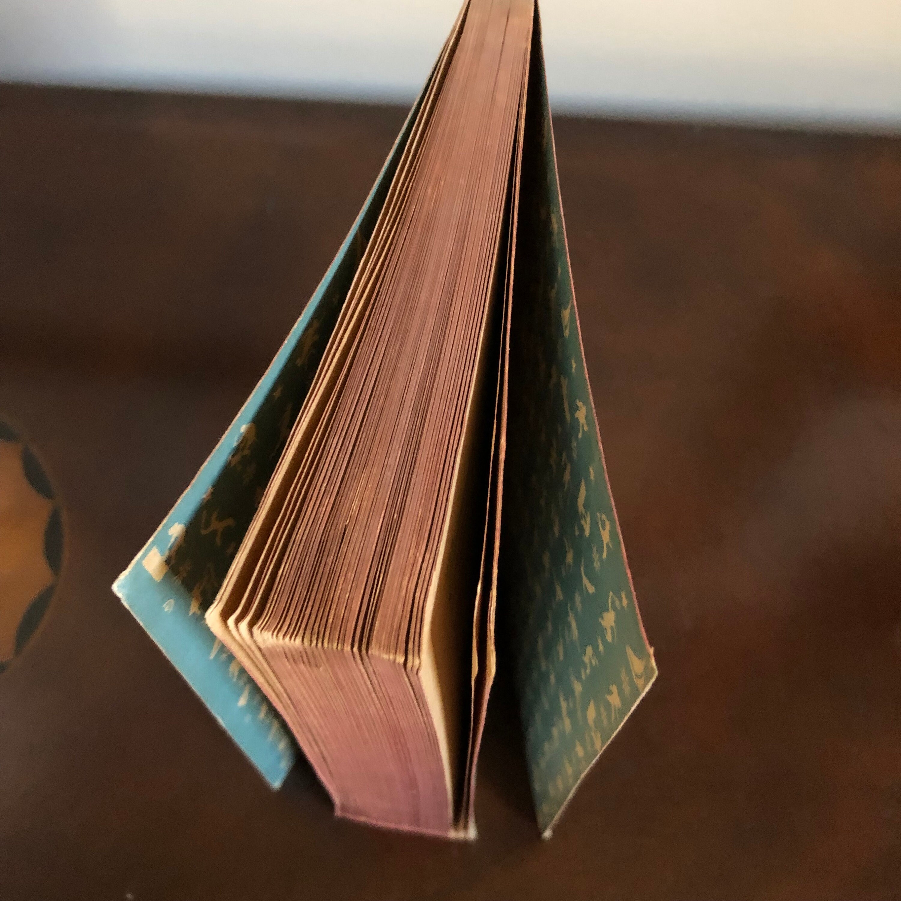 Hobby Horse Hill by Lavinia R. Davis Vintage Paperback Book - Etsy