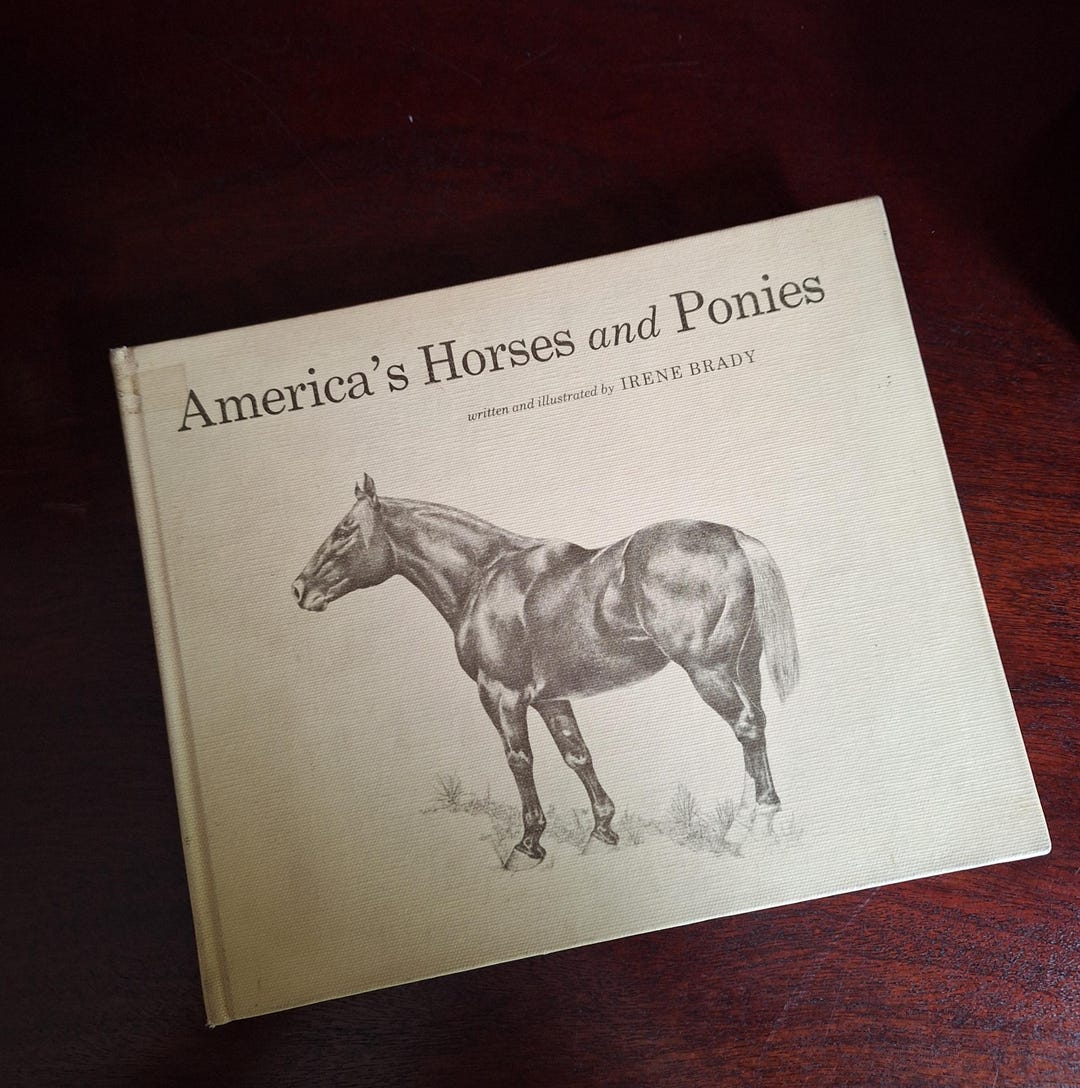 America's Horses and Ponies Vintage Hardback Book - Etsy