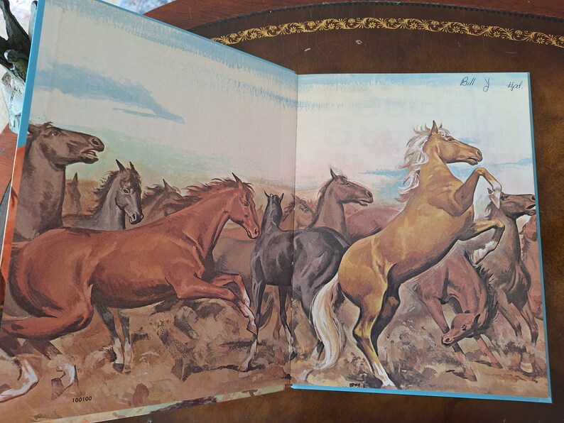 The Golden Stallion Vintage Picture Book by Rutherford Montgomery - Etsy