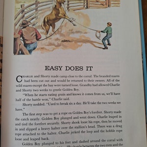 The Golden Stallion Vintage Picture Book by Rutherford Montgomery - Etsy