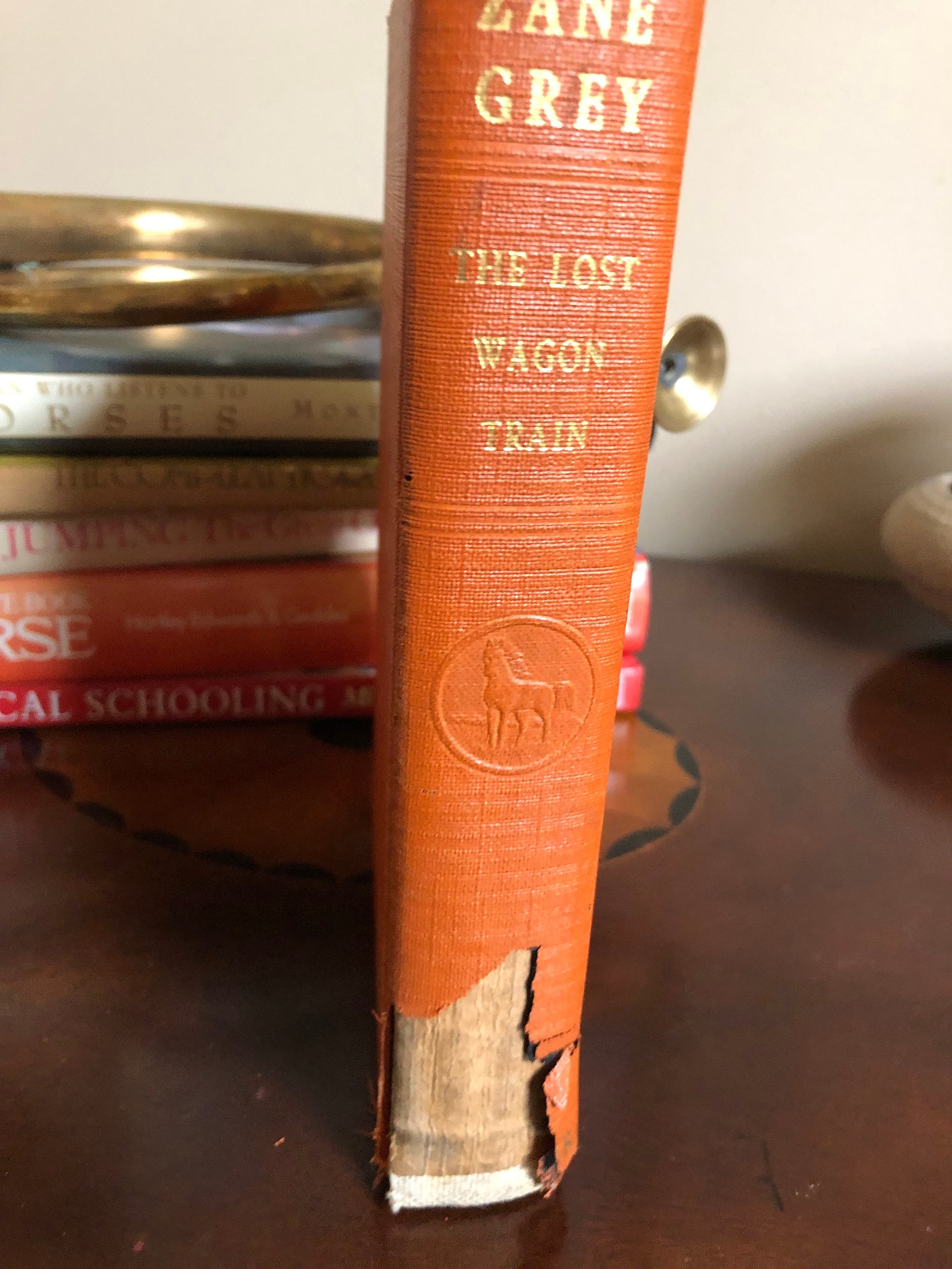 The Lost Wagon Train Vintage Book Zane Grey - Etsy
