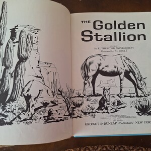 The Golden Stallion Vintage Picture Book by Rutherford Montgomery - Etsy