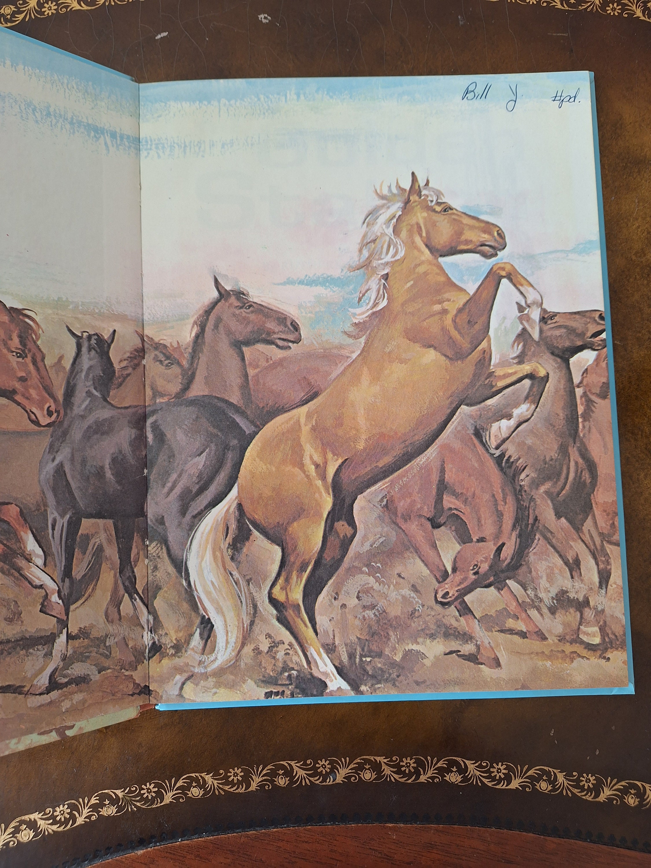 The Golden Stallion Vintage Picture Book by Rutherford Montgomery - Etsy