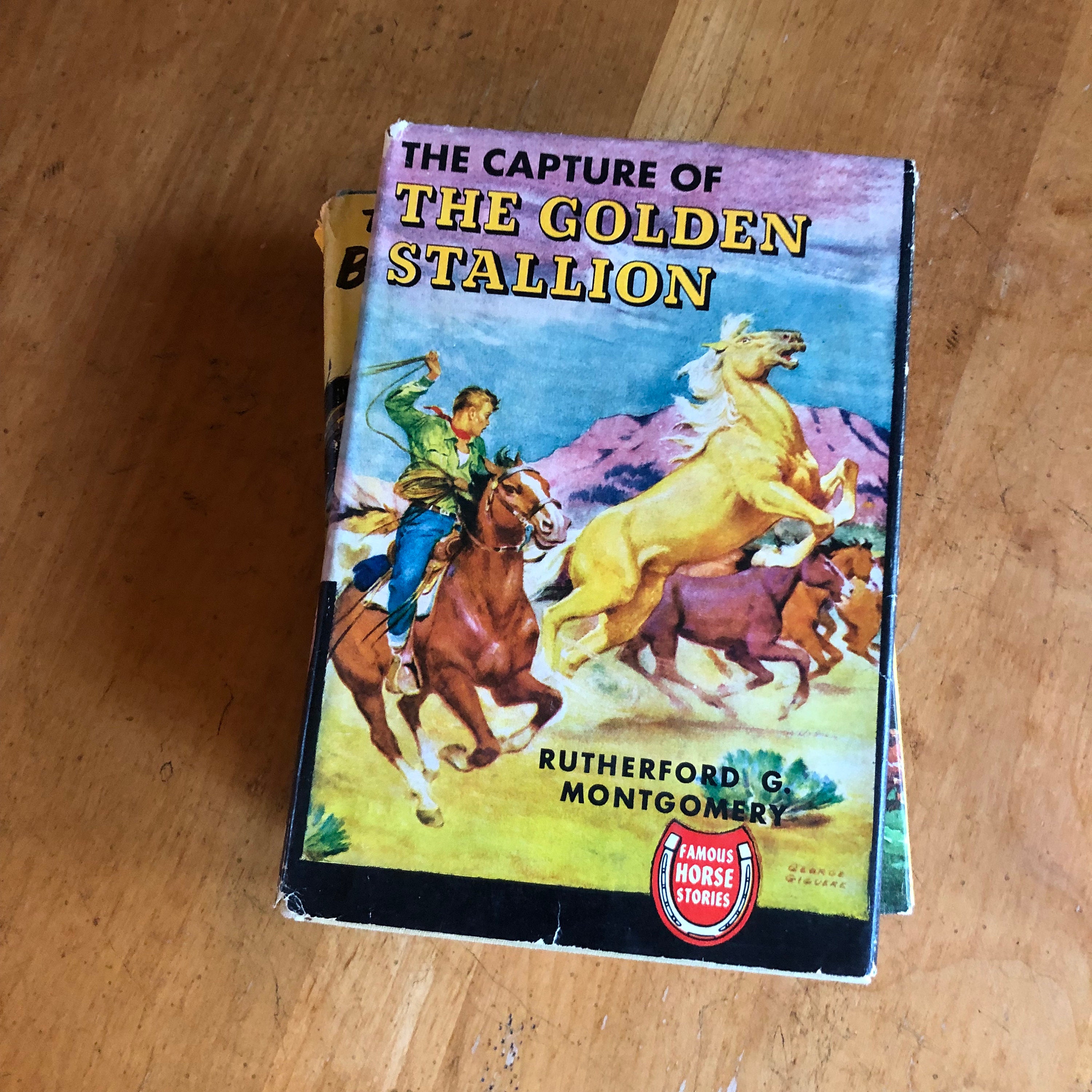 The Capture of the Golden Stallion Vintage Hardback Book - Etsy
