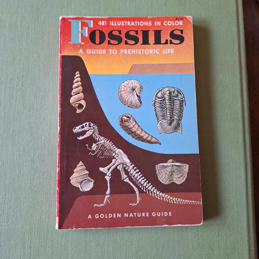 Fossils A Golden Nature Guide - Etsy