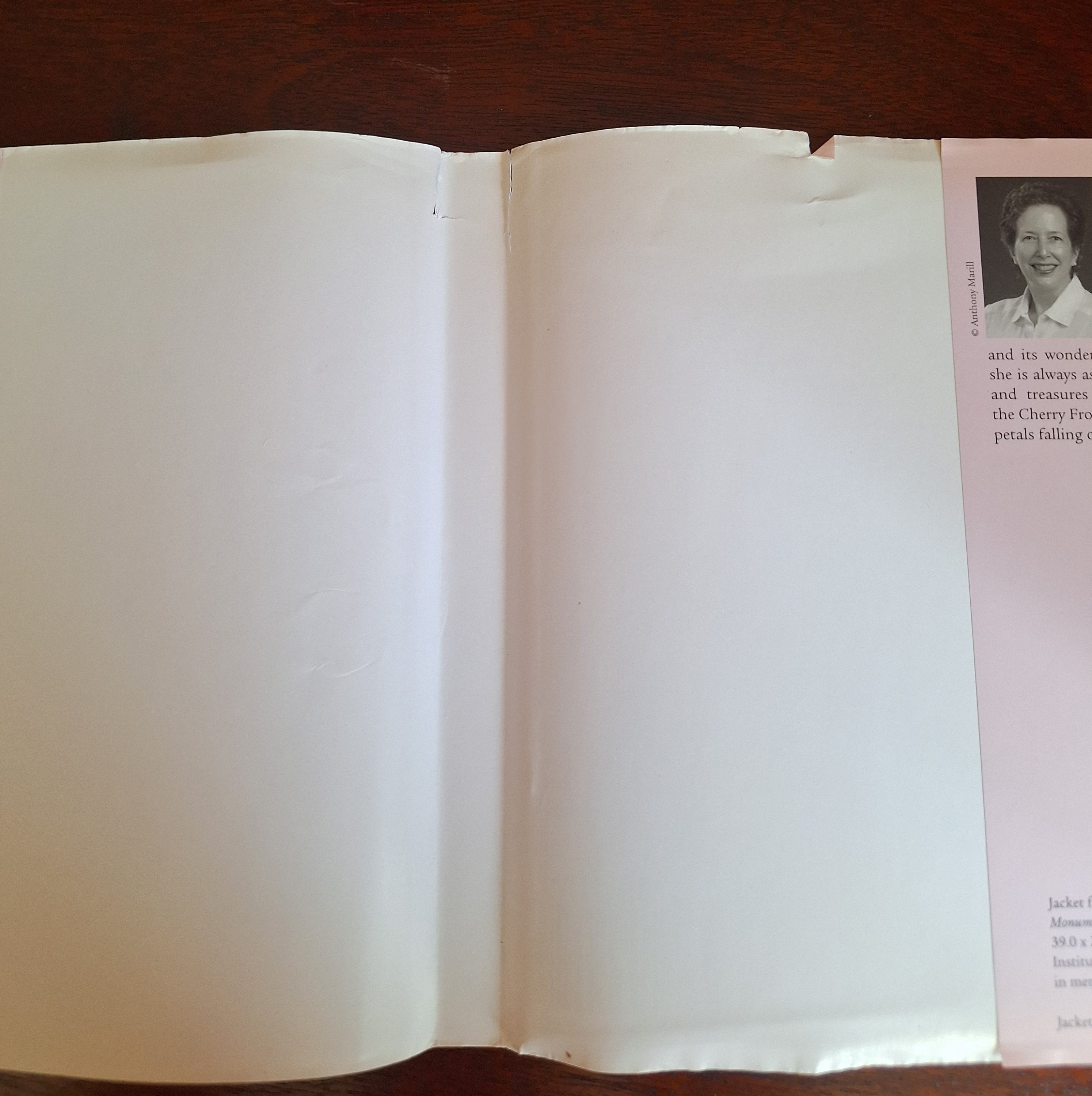 The Cherry Blossom Festival Sakura Celebration by Ann Mcclellan - Etsy