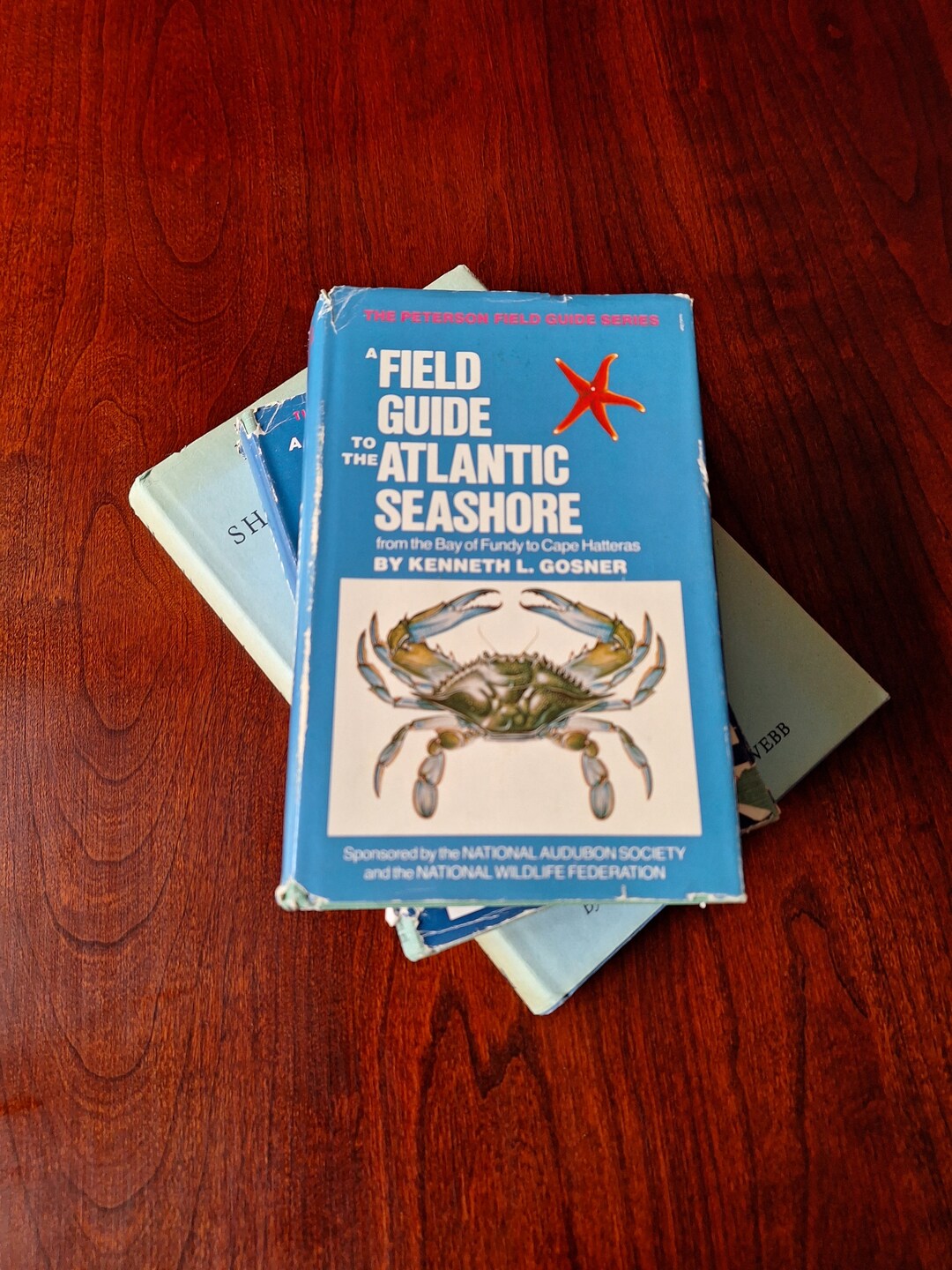 Peterson Field Guide to the Atlantic Seashore Vintage Book - Etsy