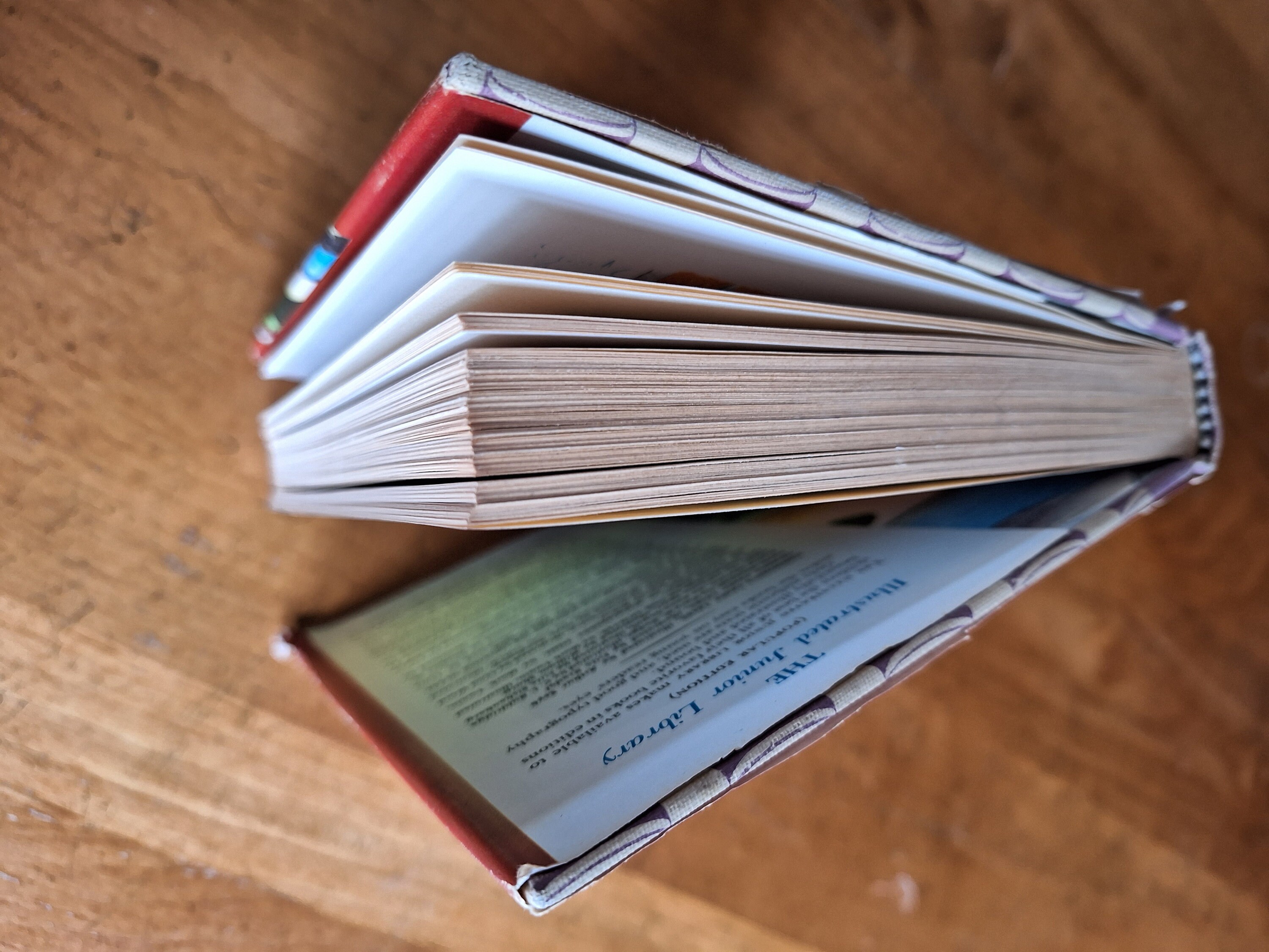 The Little Lame Prince Illustrated Junior Library - Etsy