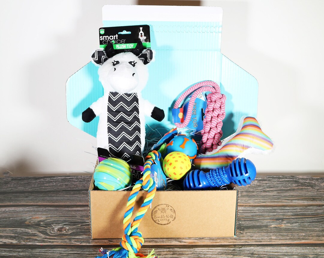 TAILORED Dog Toys Gift Box Hamper | Squeaky Rope | Plush | Birthday ...