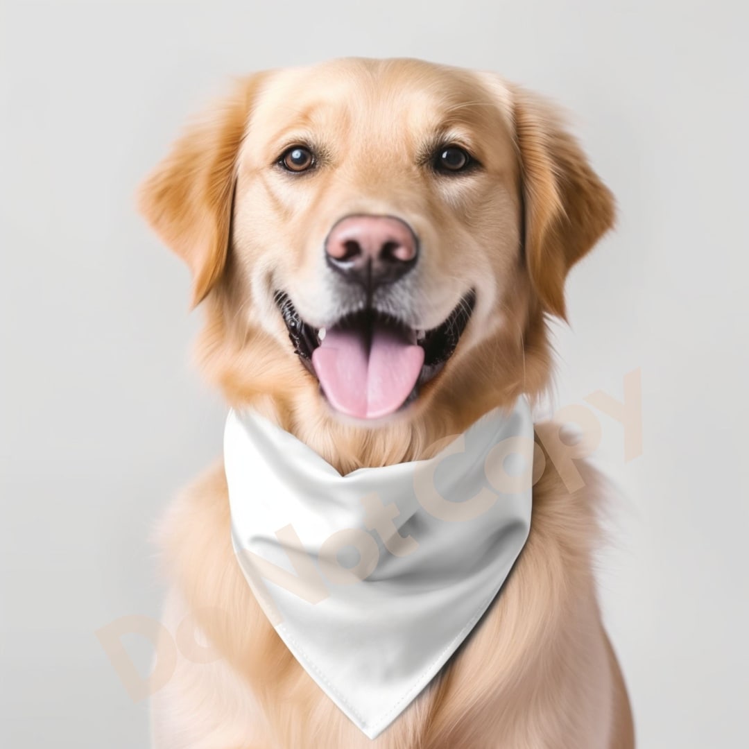 Dog Bandana Mockup PNG JPEG Pet Bandana Dye Sublimation Mock up Add ...