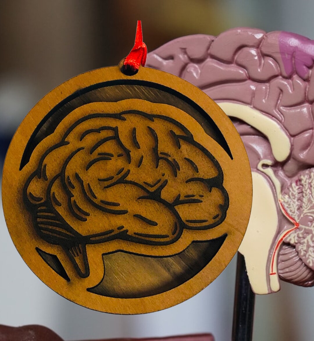 BRAIN NEUROLOGY Christmas Medical Ornament Neuro Holiday Gift - Etsy