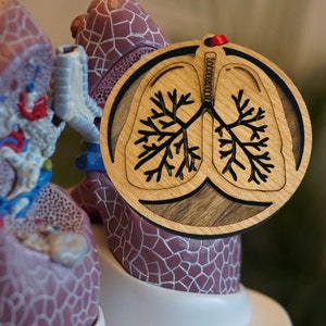 LUNG Lungs PULMONOLOGY Pulmonary Medical Ornament Nurse Doctor ...