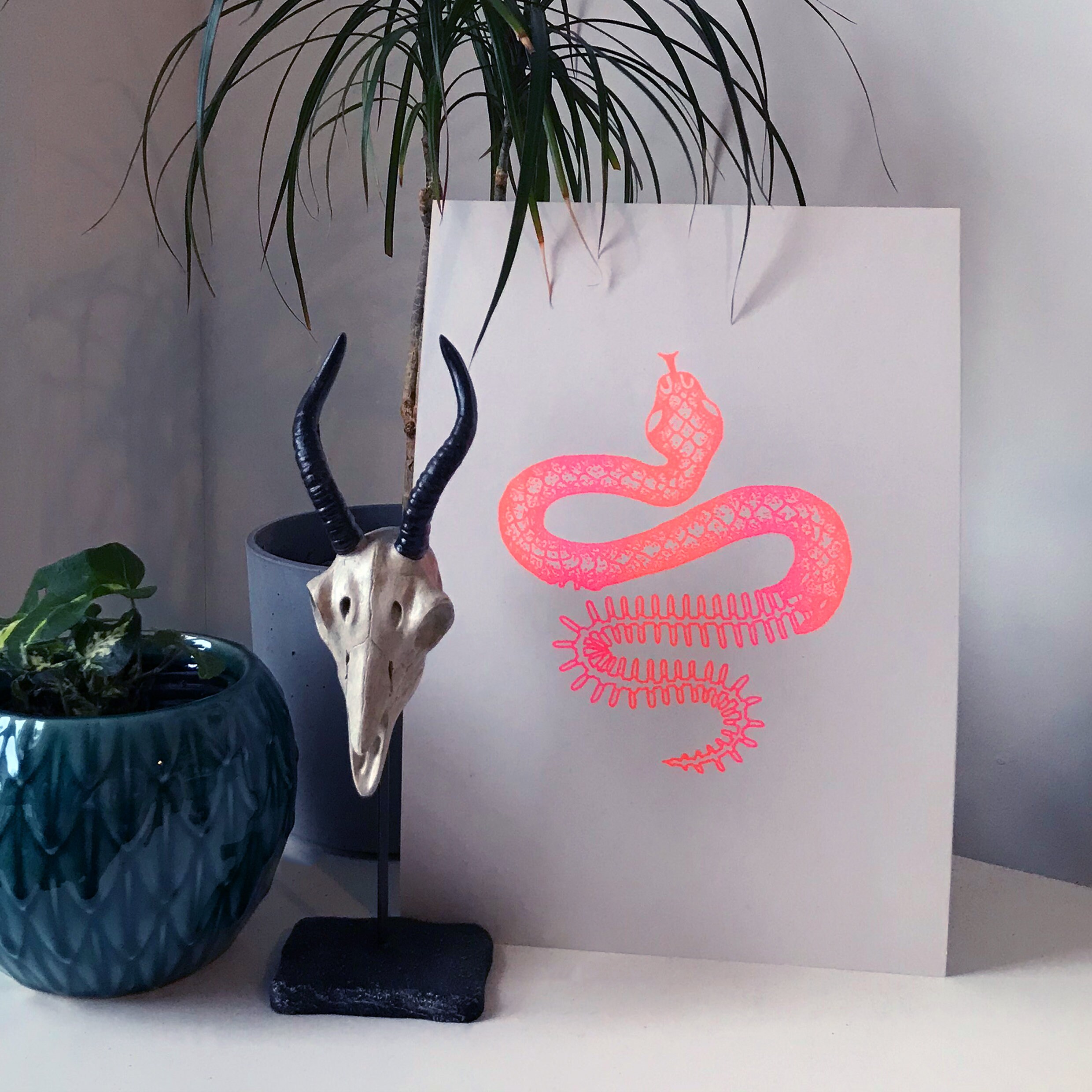 Toxic Snake Fluro Orange and Pink Riso A4 Art Print - Etsy