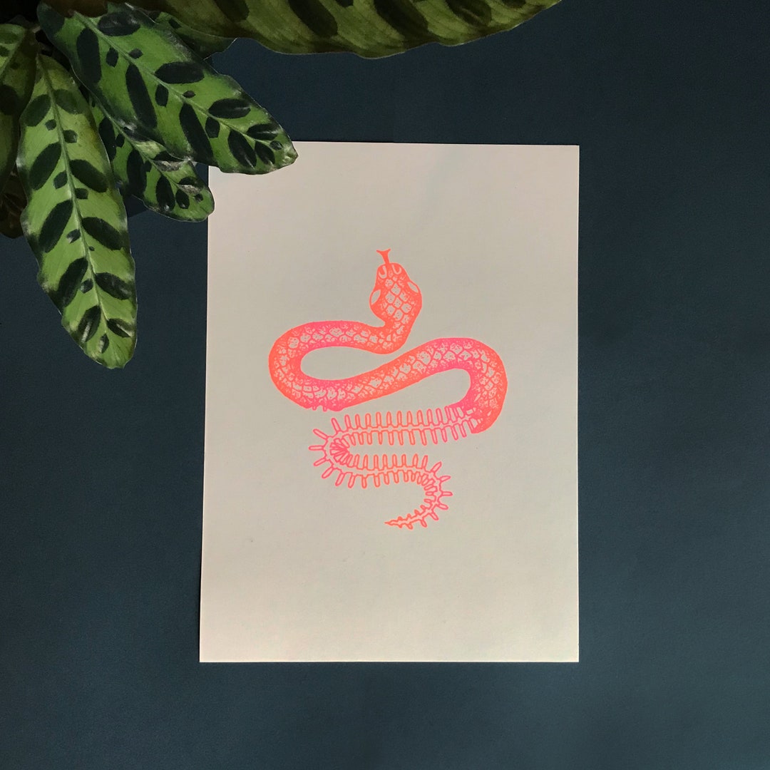 Toxic Snake Fluro Orange and Pink Riso A4 Art Print - Etsy