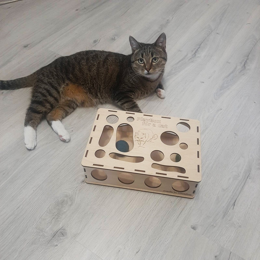 Play Box for a Cat - Etsy