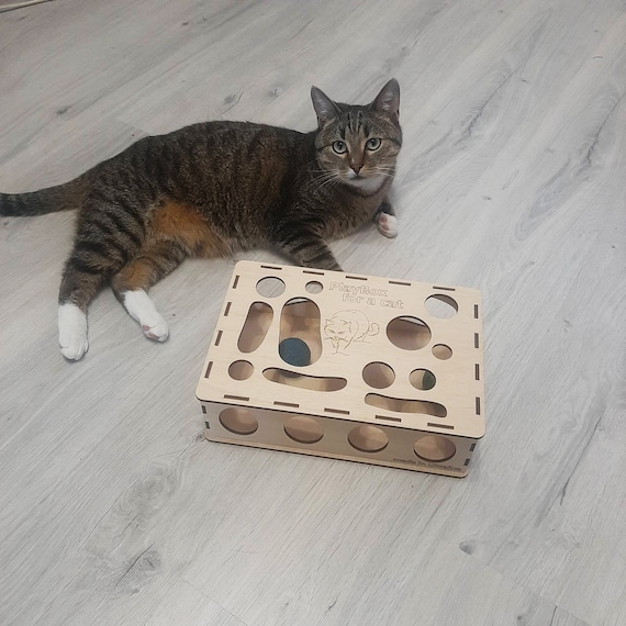 Play Box for a Cat - Etsy