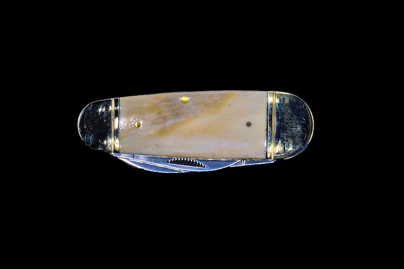 Etched Ship and Octopus Colored Design Scrimshaw Collection Large Dual ...
