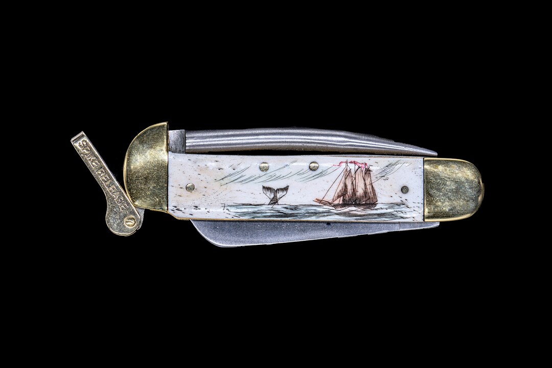 Scrimshaw Ship and Whale Colored Design Scrimshaw Collection Marlin ...