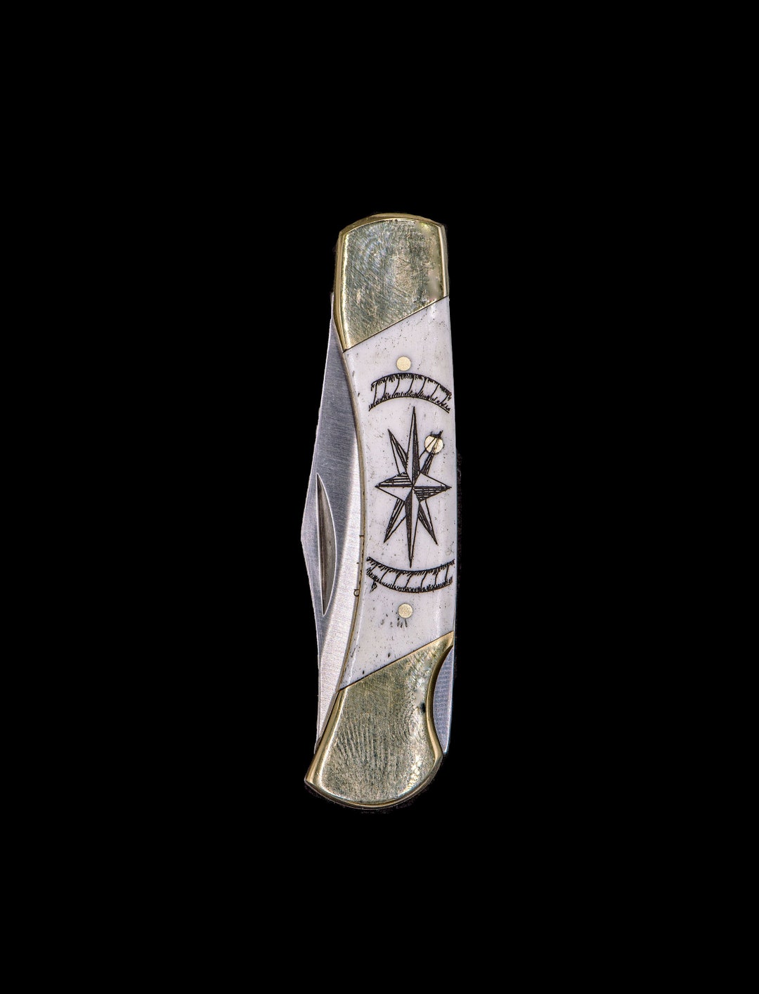 Scrimshaw Compass Rose Design Ink Scrimshaw Collection on Medium Bovine ...