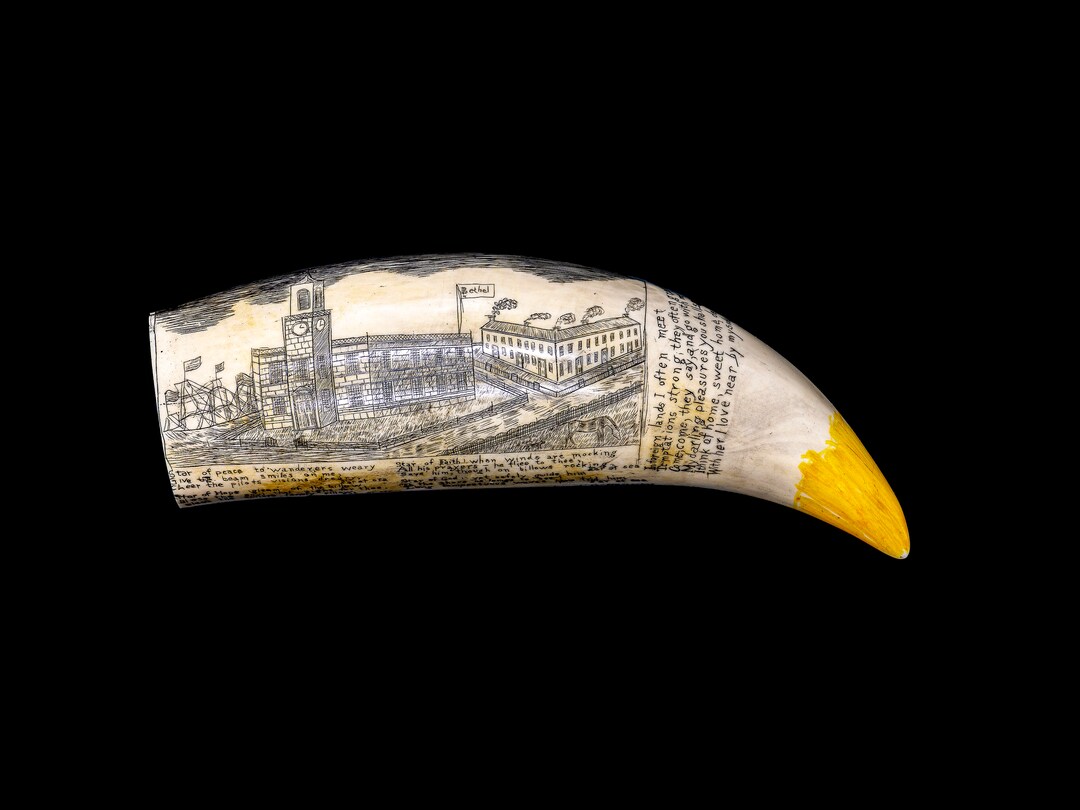 Faux Sperm Whale Tooth Eco Ivory "bethel" Scrimshaw Tooth Eco Ivory ...