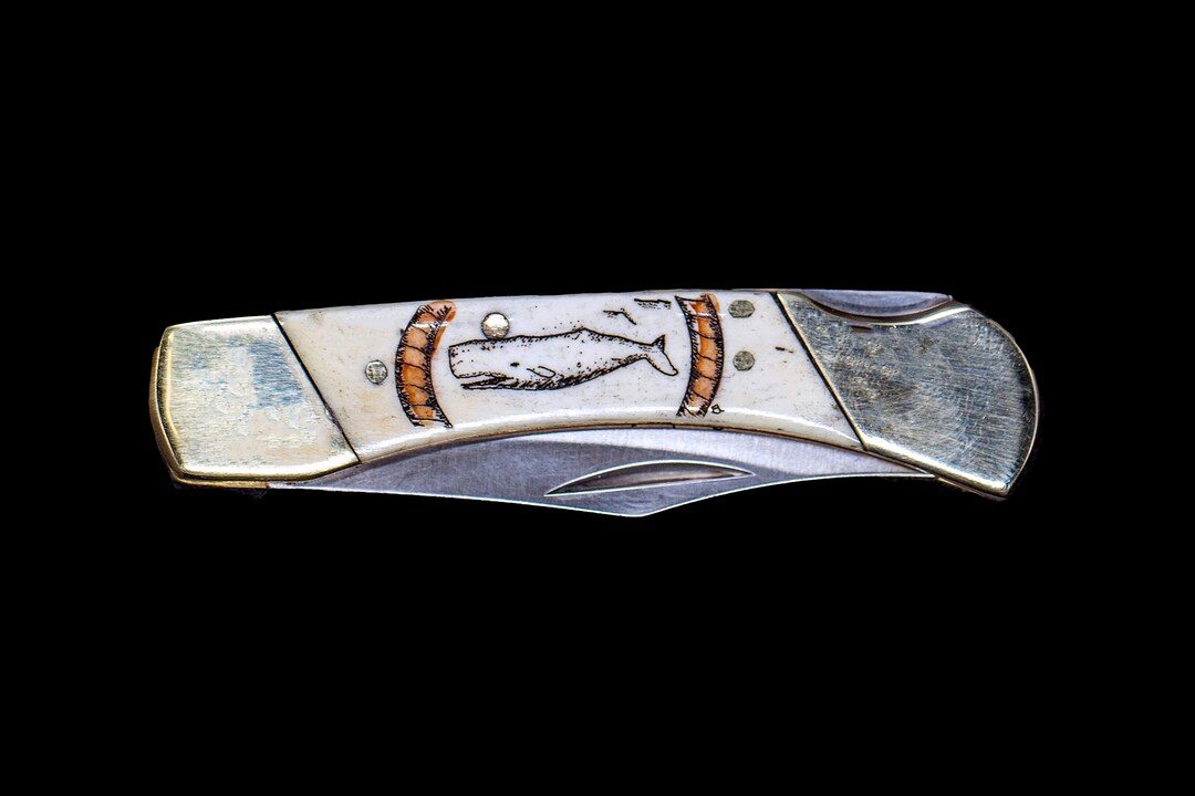 Etched Compass Rose Scrimshaw Collection on Bovine Bone Large Pocket ...