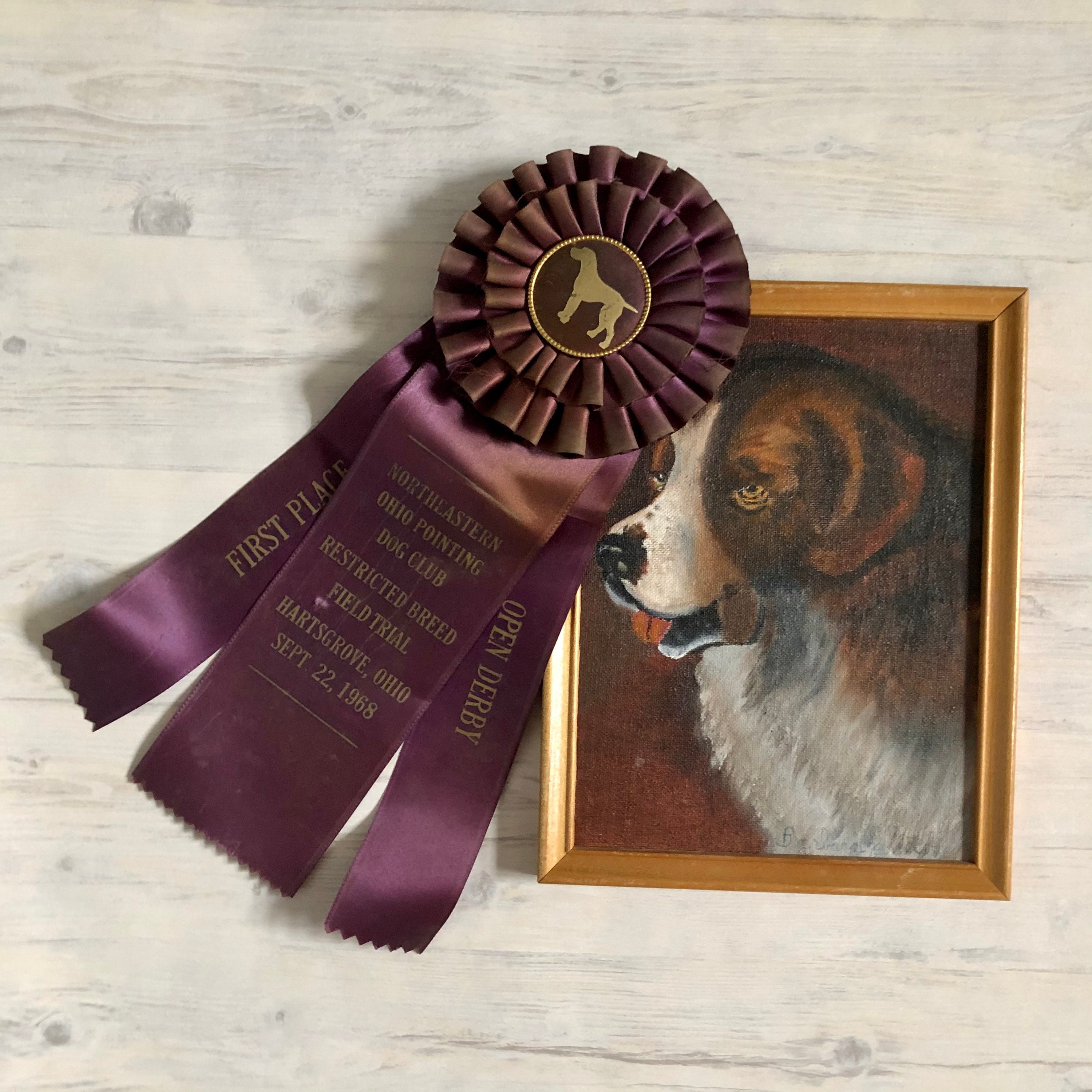 Vintage dog show award ribbon pointing dog field trial first | Etsy