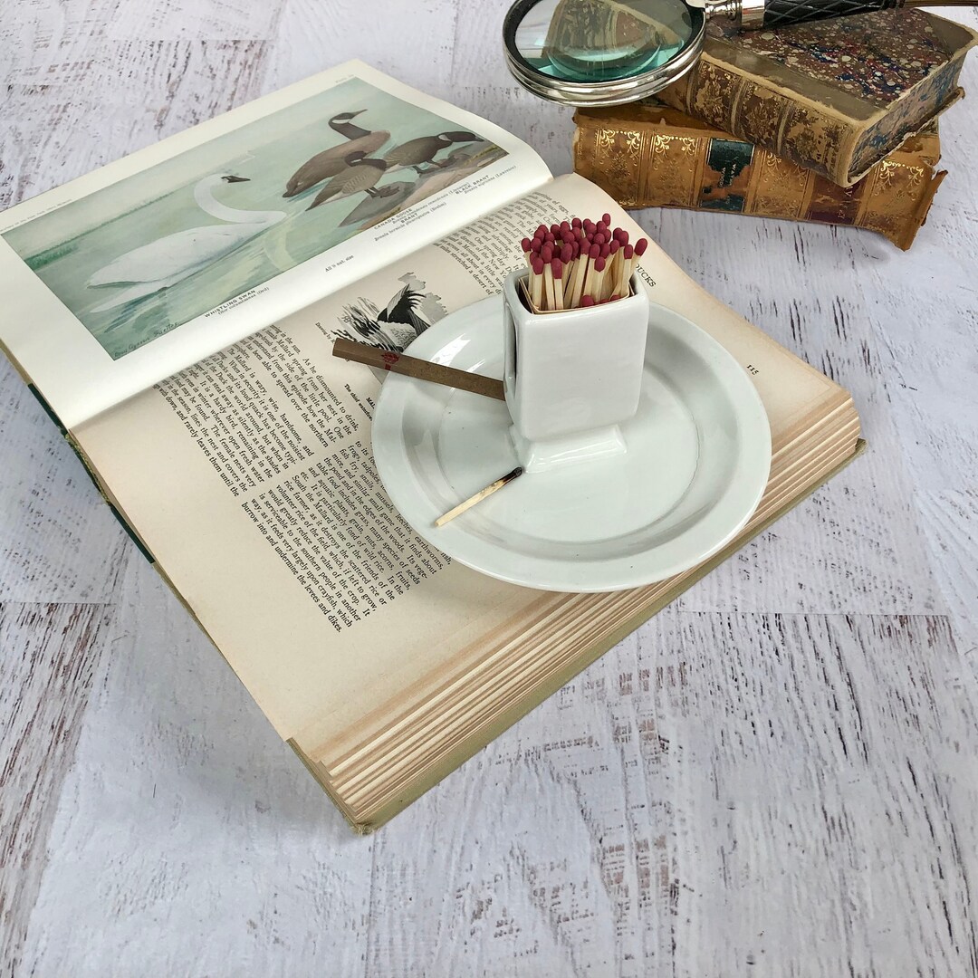 Vintage American Ironstone Match Strike, Simple White Match Striker ...