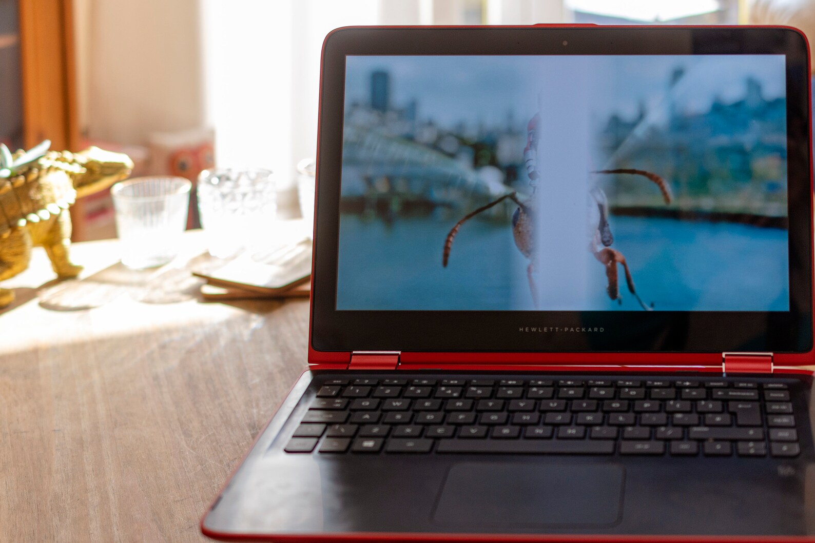 Zoom Game Download Zoom Quiz Picture Party Game Guess | Etsy UK