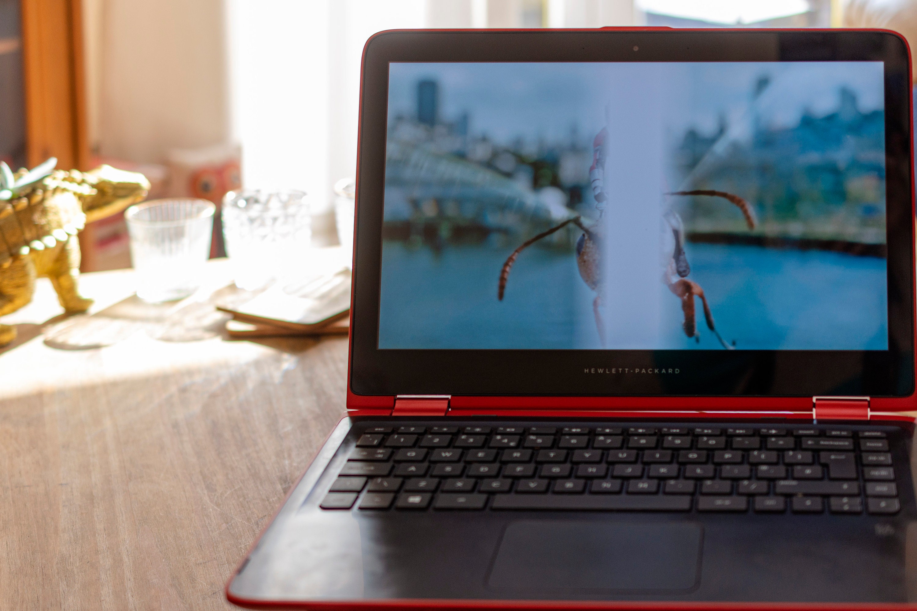 Zoom Game Download Zoom Quiz Picture Party Game Guess the Movie Screen ...