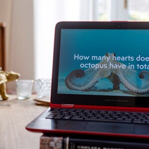 Great Big Trivia Quiz Night | Virtual Quiz | Games Night | Ready Made ...