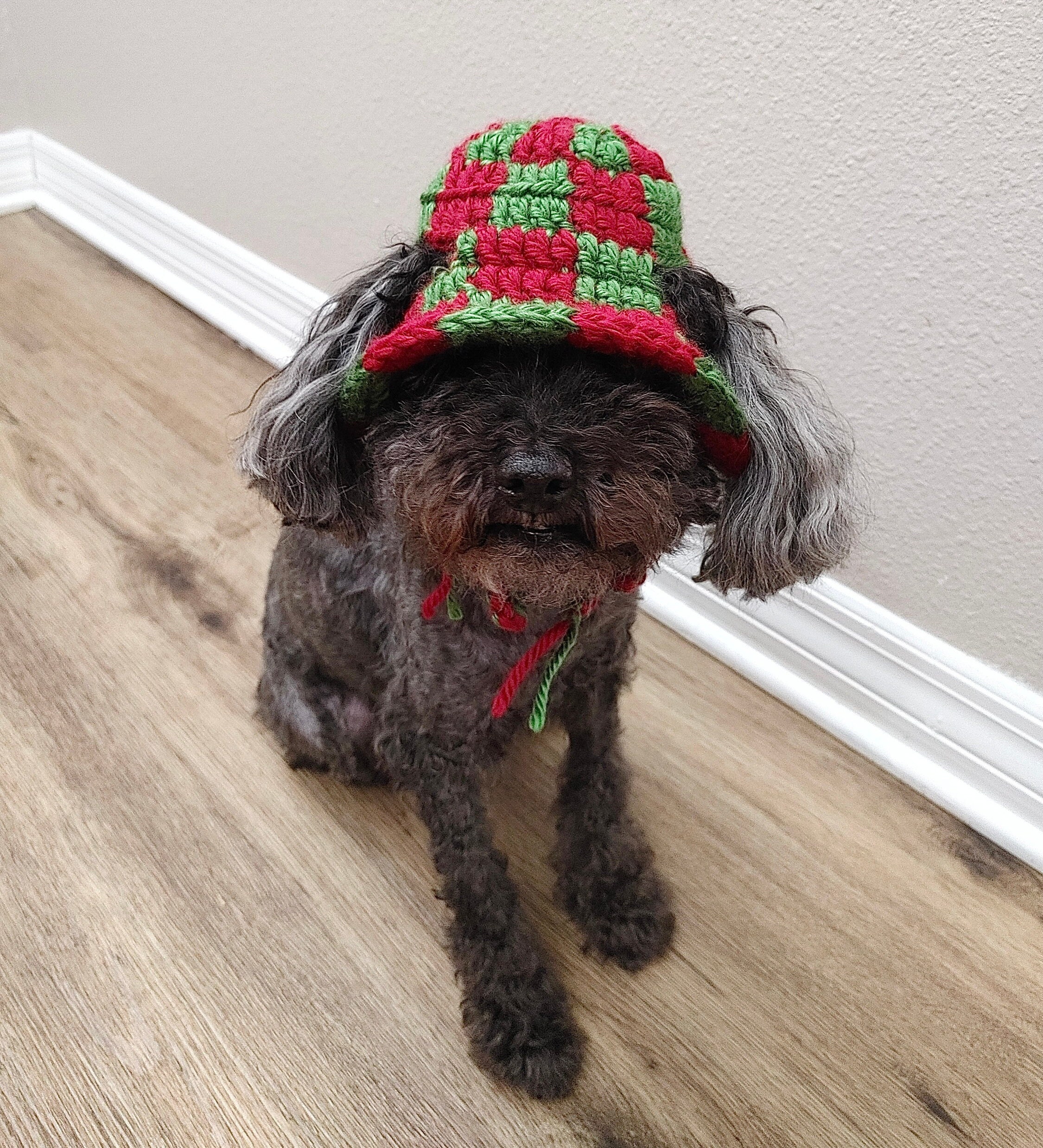 Crochet Pattern for Pets, Crochet Pattern, Small Dog Hat Pattern ...