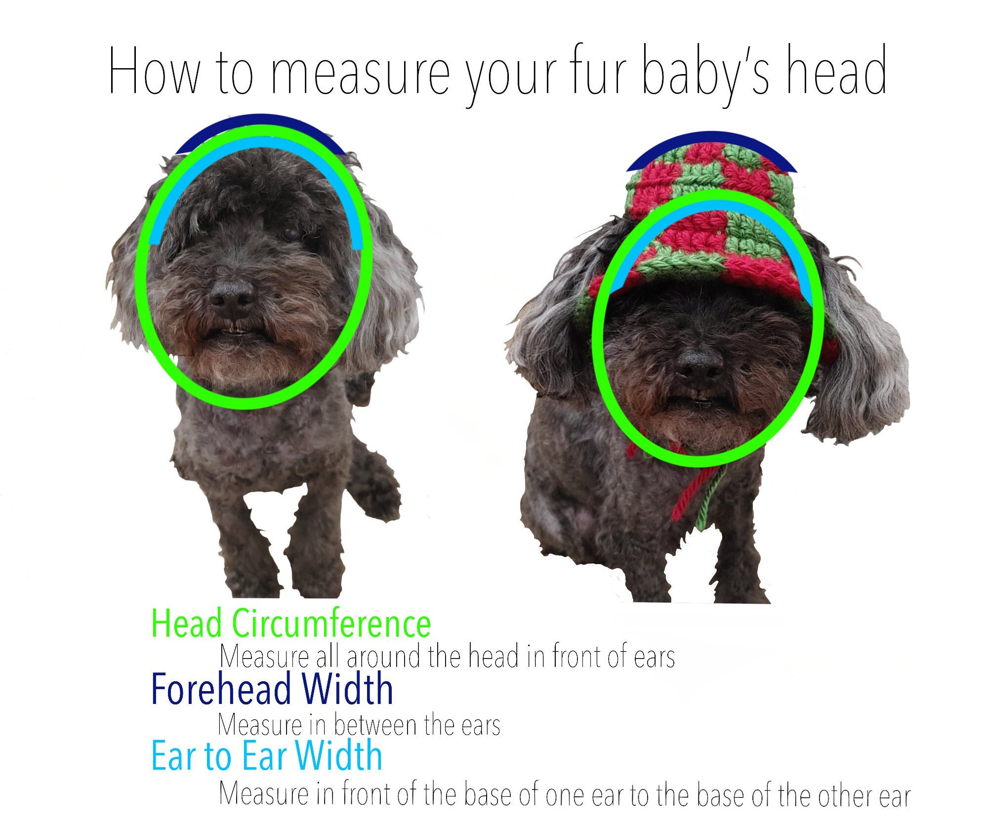 Crochet Pattern for Pets, Crochet Pattern, Small Dog Hat Pattern ...