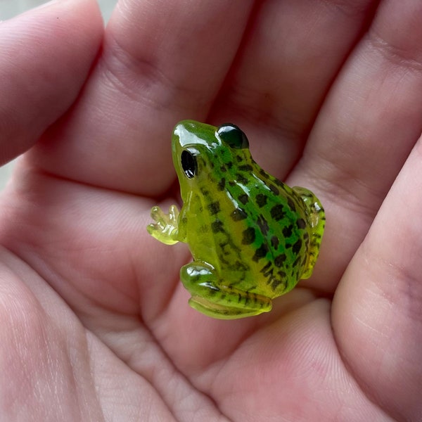 Realistic Frog - Etsy