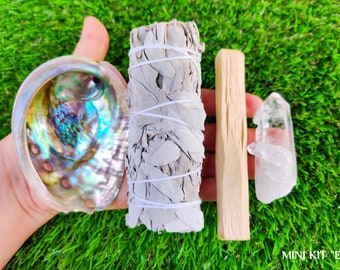White Sage Smudge Kit Mini W/ Detailed Instructions Abalone | Etsy