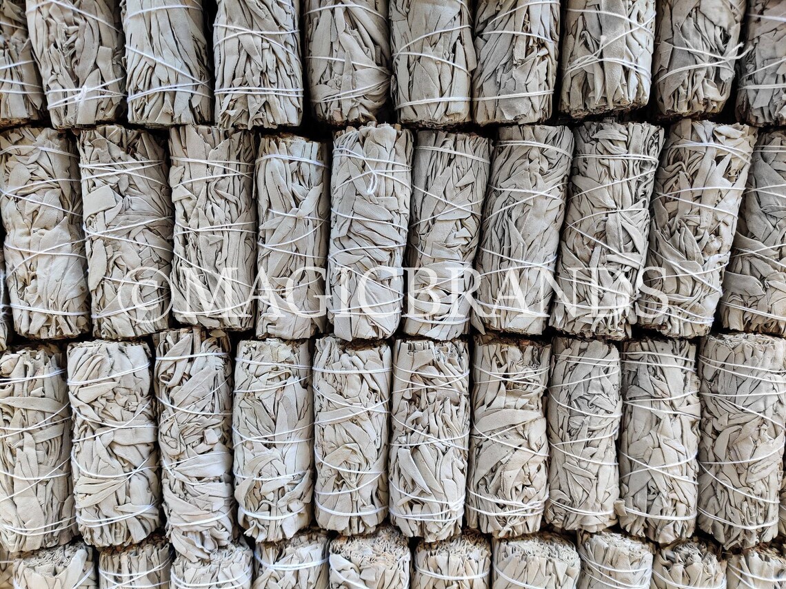 White Sage Smudge Sticks Choose 1 to 800 Wholesale bulk Sage - Etsy