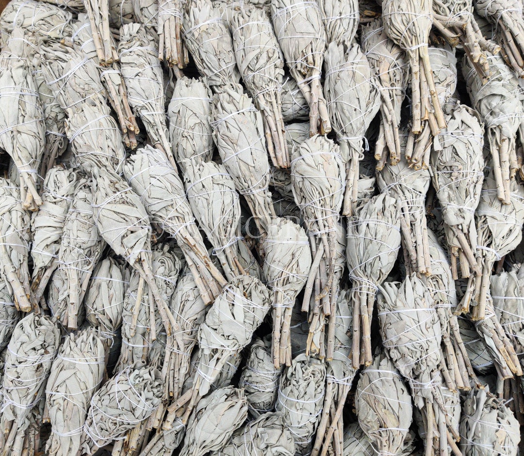 100 Pack White Sage Smudge Sticks, White Sage Wholesale Smudge Bundle 4 ...