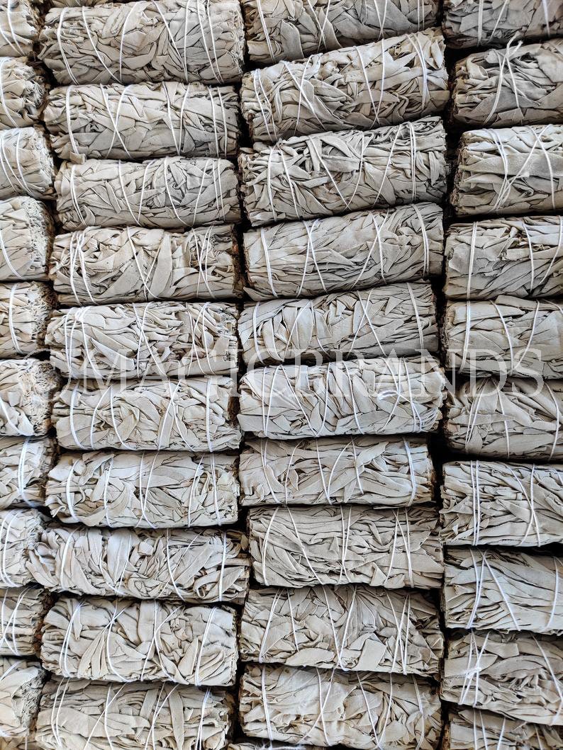 White Sage Smudge Sticks Choose 1 to 800 Wholesale bulk Sage - Etsy