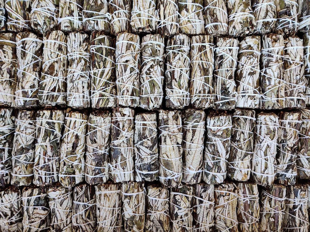 50 Pack Yerba Santa Smudge Sticks Wholesale, Yerba Santa Smudge Bundles ...