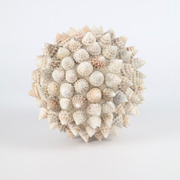Seashell Balls - Etsy