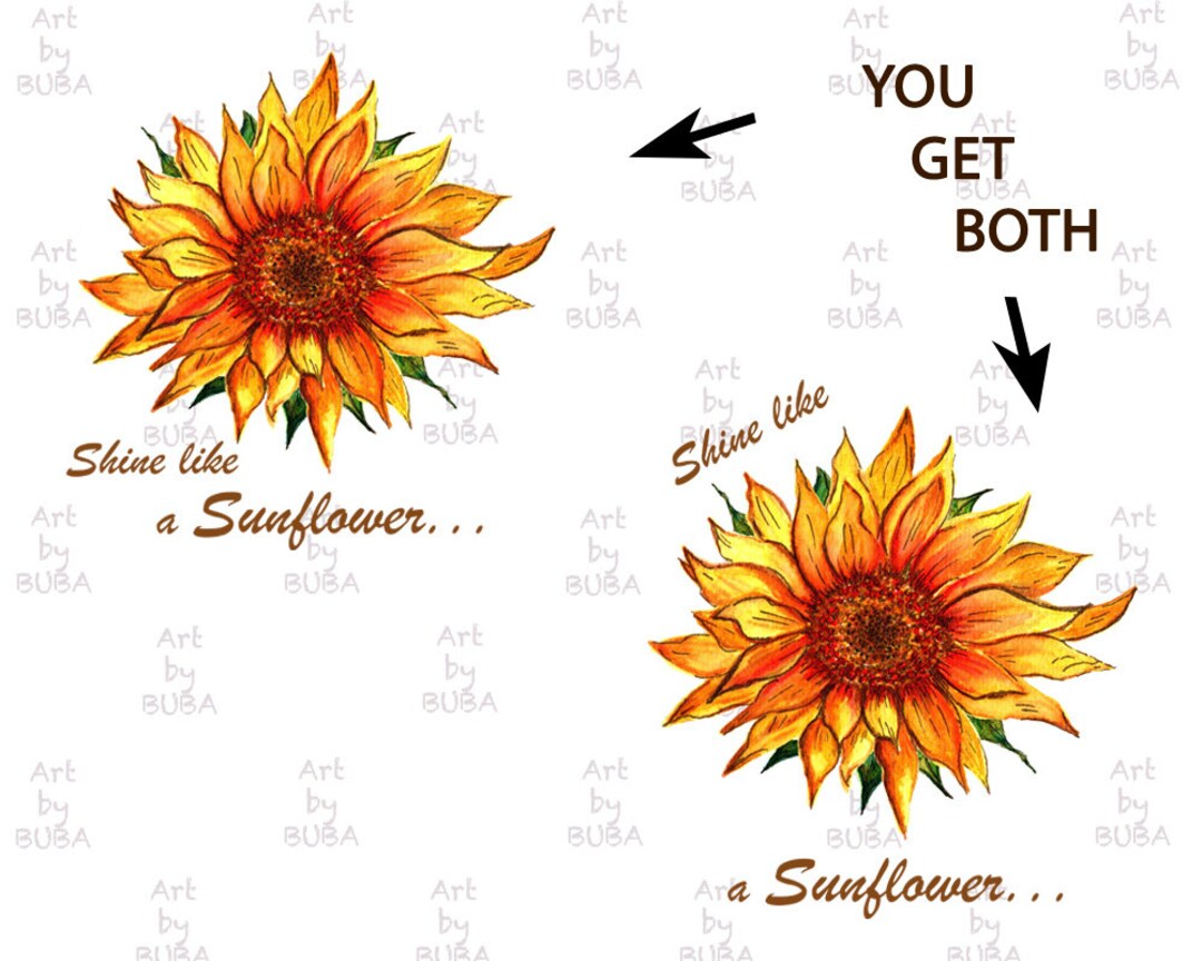 Sunflower Sublimation, Sunflower Sublimation Design, Shine Like a ...