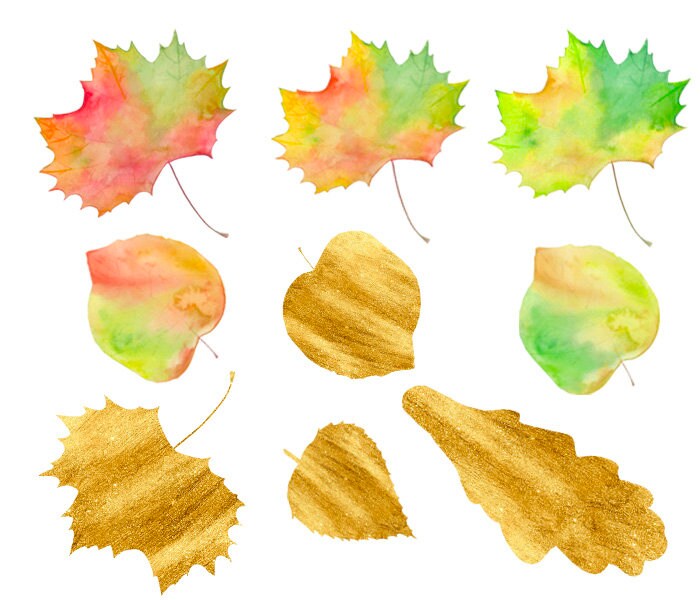 Autumn Fall, Watercolor Clipart, Leaves, 24 Leaves, Hand Painted, Leaf ...