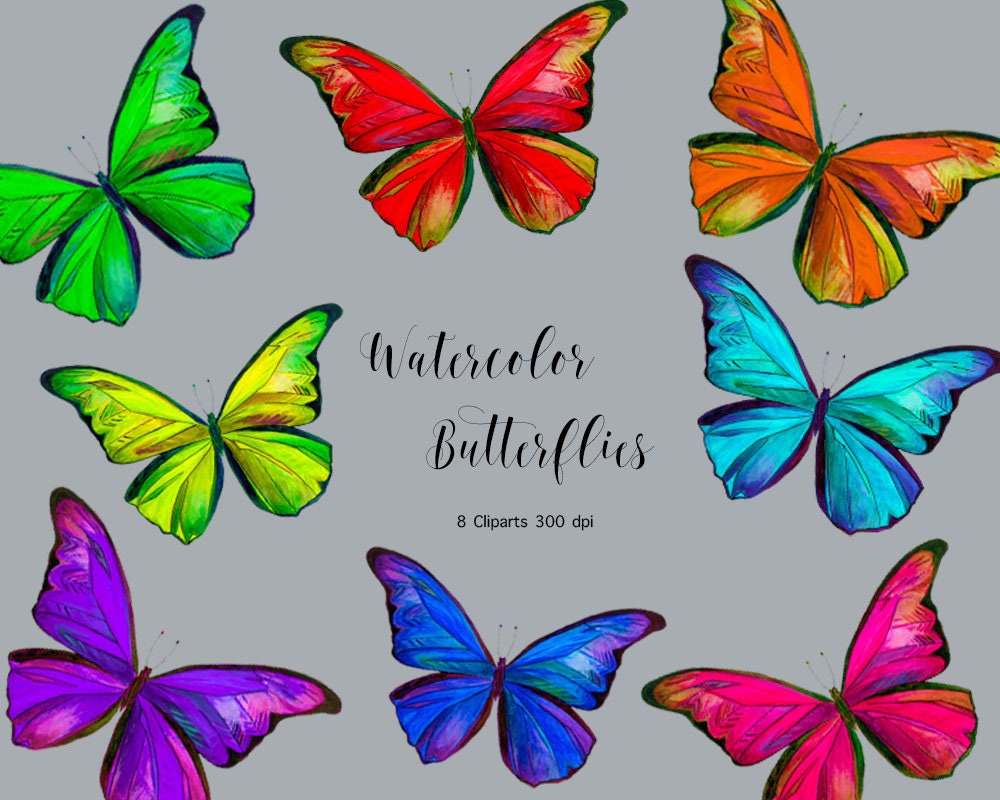 Rainbow Butterfly Clipart