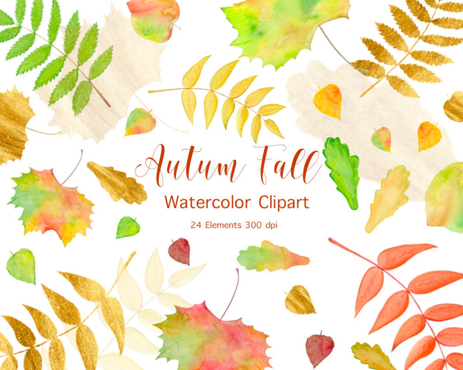 Autumn Fall, Watercolor Clipart, Leaves, 24 Leaves, Hand Painted, Leaf ...