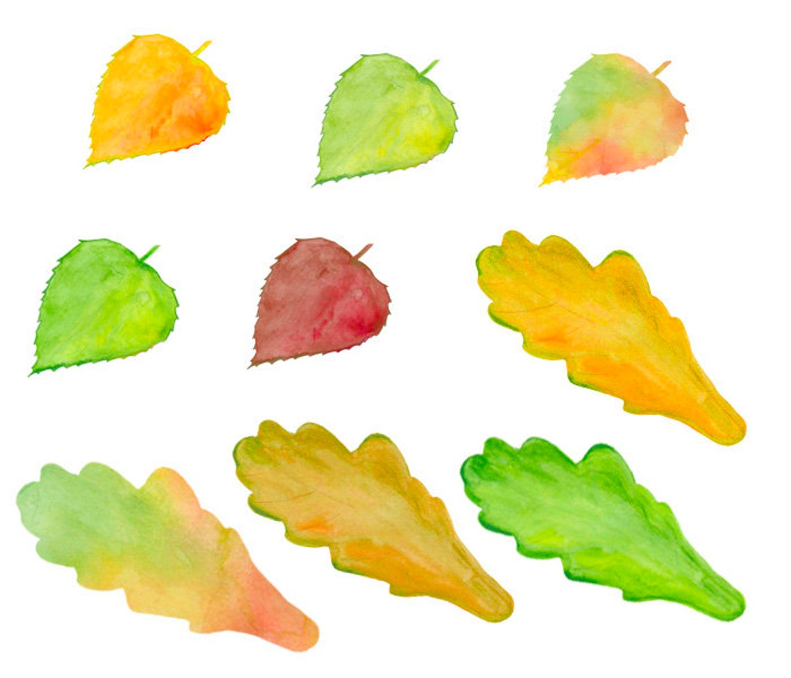 Autumn Fall, Watercolor Clipart, Leaves, 24 Leaves, Hand Painted, Leaf ...