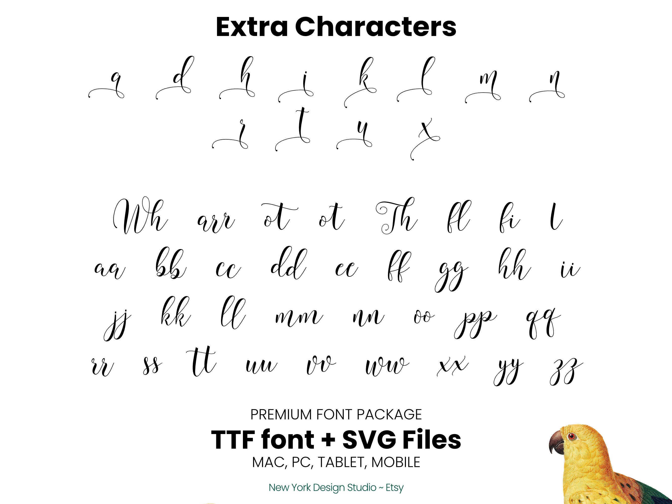 Cricut Font Calligraphy Font Cricut Handwritten Script | Etsy Canada