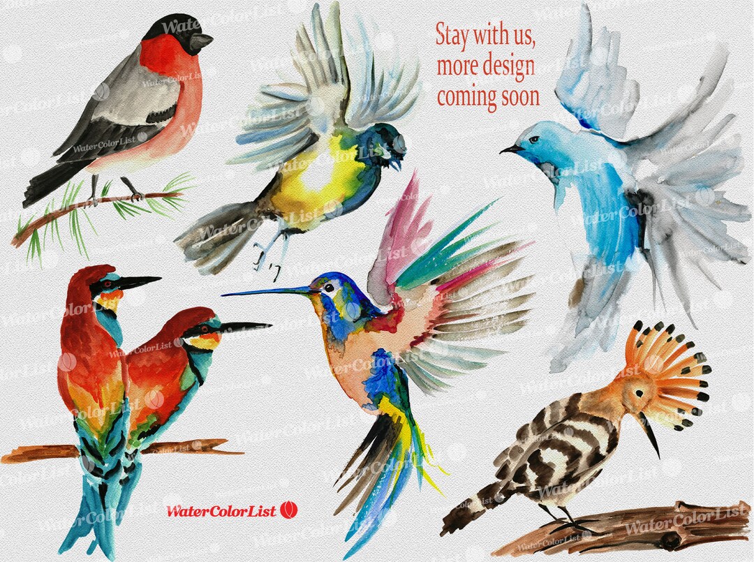 Birds Watercolor Image, Winged, Flying, Beak, Feathered, Colorful ...