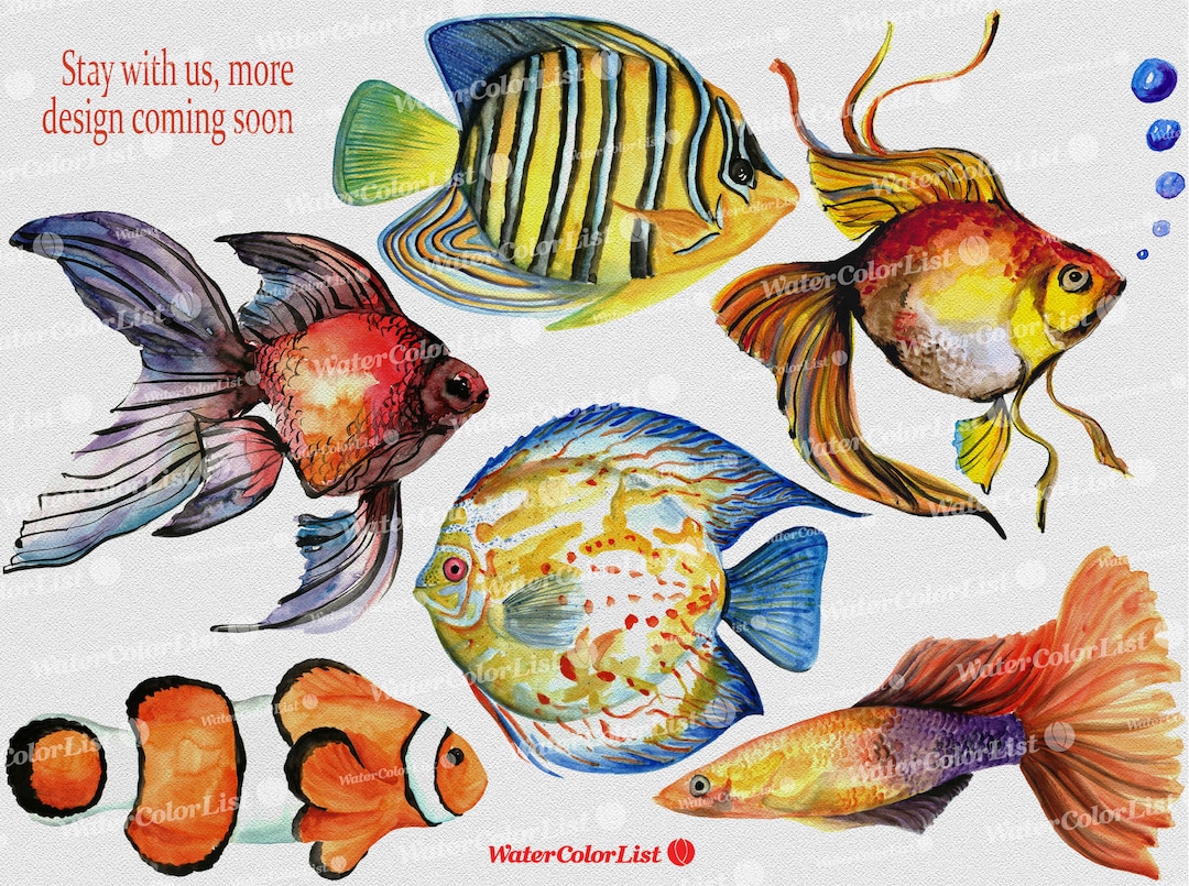 Fish Watercolor Image, Sea, Aquarium Fish, Colorful Picture ...